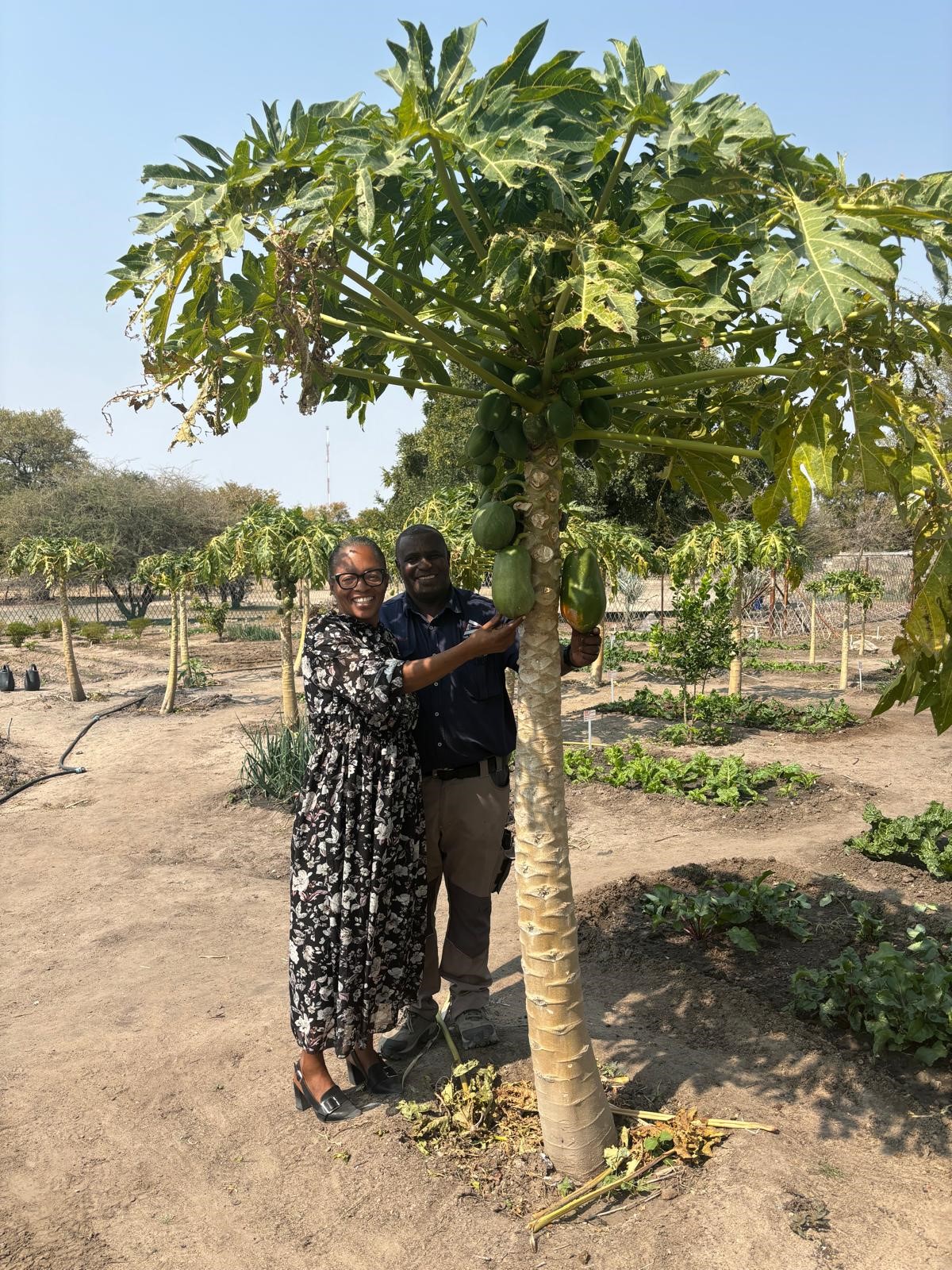 Unlocking Growth Through Transformative Change Opportunities